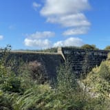 Fernworthy Reservoir Circular, Devon, England - 49 Reviews, Map | AllTrails