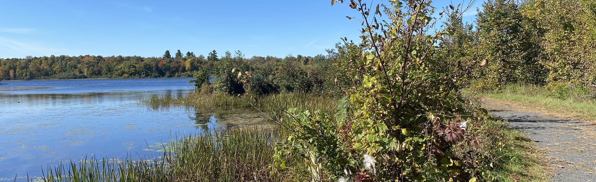 Lake Alice, New York - 43 Reviews, Map | AllTrails