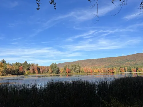 Best Hikes and Trails in Clarksburg State Park | AllTrails