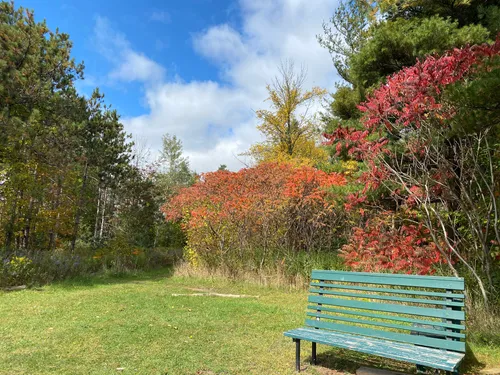 10 Best Walking Trails in Simcoe County Forest | AllTrails