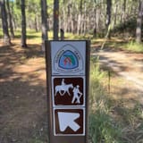 Three Lakes Loop, Florida - 265 Reviews, Map | AllTrails