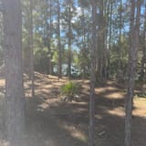 Three Lakes Loop, Florida - 265 Reviews, Map | AllTrails