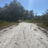 Three Lakes Loop, Florida - 265 Reviews, Map | AllTrails