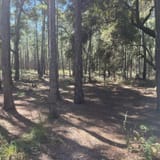 Three Lakes Loop, Florida - 265 Reviews, Map | AllTrails