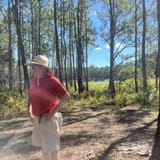 Three Lakes Loop, Florida - 265 Reviews, Map | AllTrails