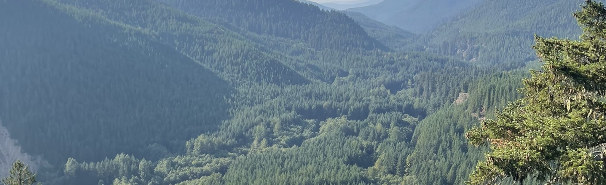 Naches and Greenwater OHV Trail: 25 Reviews, Map - Washington | AllTrails