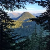 Stampede Pass to Tacoma Pass via the PCT, Washington - 34 Reviews, Map ...