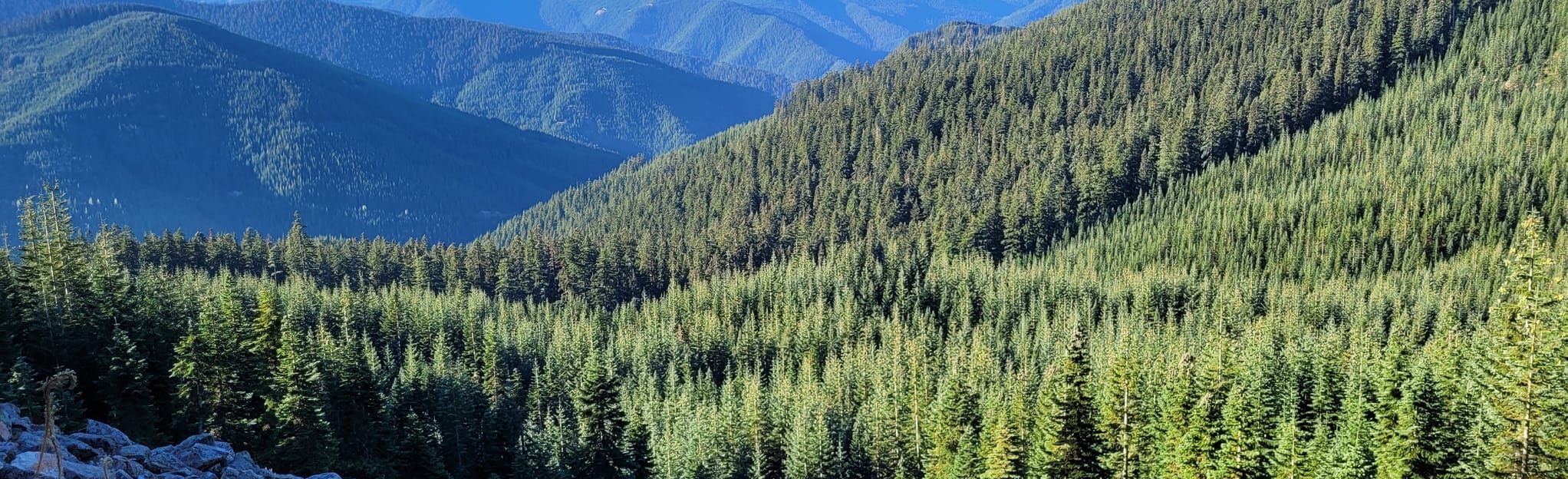 Stampede Pass to Tacoma Pass via the PCT: 24 Reviews, Map - Washington ...