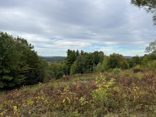 Best Hikes and Trails in Bear Swamp | AllTrails