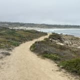 Asilomar State Beach and Coast Trail, California - 711 Reviews, Map ...