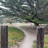 Asilomar State Beach and Coast Trail, California - 711 Reviews, Map ...