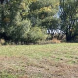 Niwot Loop Trail, Colorado - 462 Reviews, Map | AllTrails