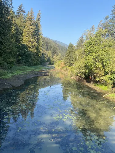 10 Best Trails and Hikes in Harrison Hot Springs | AllTrails