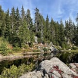 Pinnacle Lake Trail, Washington - 333 Reviews, Map | AllTrails