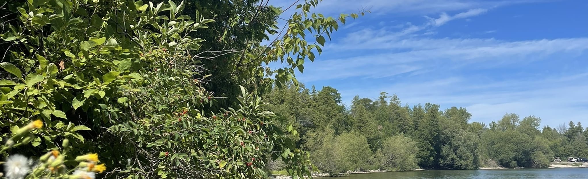 Eagle Bluff Loop , Wisconsin - 584 Reviews, Map | AllTrails