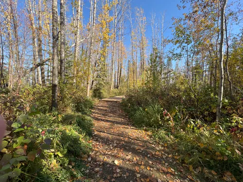 Best Hikes and Trails in Spruce Grove | AllTrails
