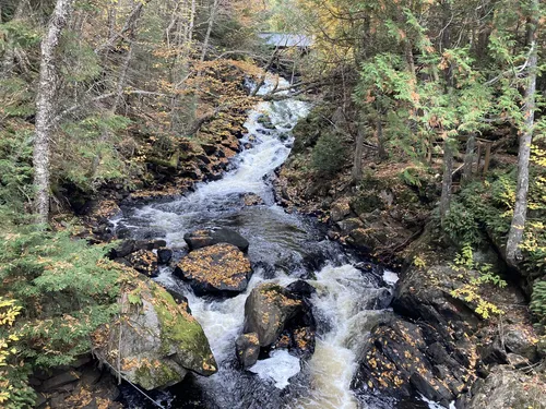 Best Views Trails in Duhamel | AllTrails