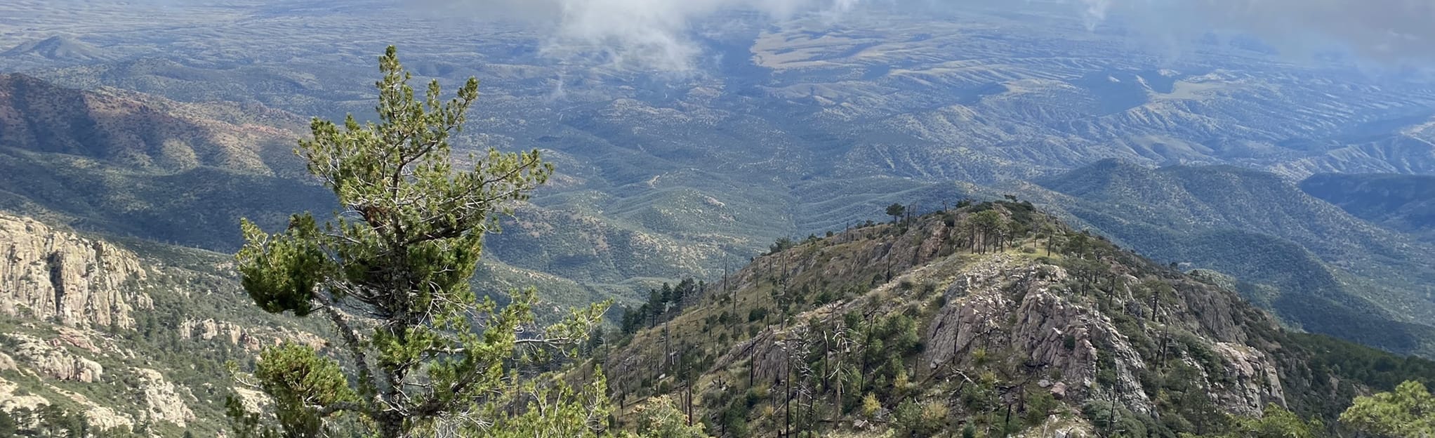 Mount Wrightson Figure 8 Loop, Arizona - 211 Reviews, Map | AllTrails