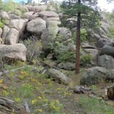 Schultz Creek Trail, Arizona - 377 Reviews, Map | AllTrails