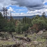 Schultz Creek Trail, Arizona - 377 Reviews, Map | AllTrails
