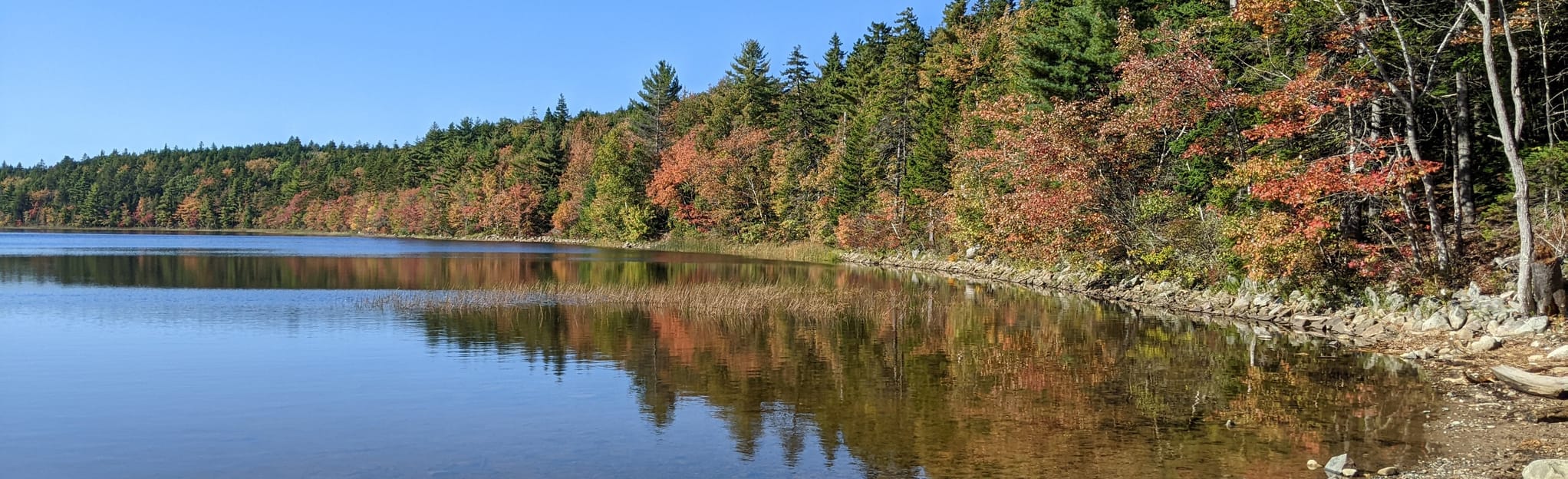 Sandy Lake Park Loop Trail | Map, Guide - Nova Scotia, Canada | AllTrails