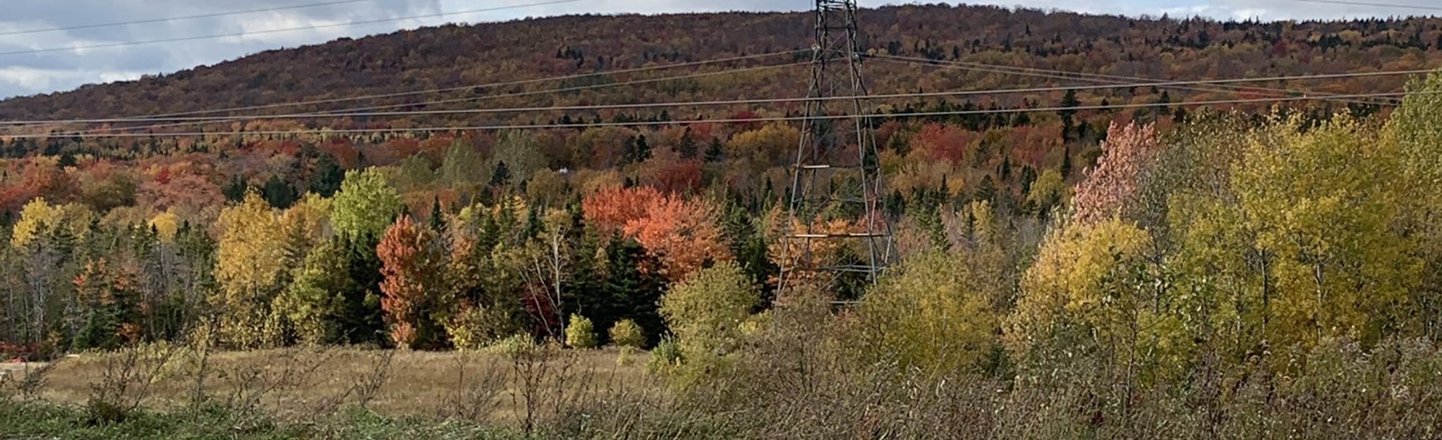 Petite boucle Bourg Royal: 15 Reviews, Map - Quebec, Canada | AllTrails