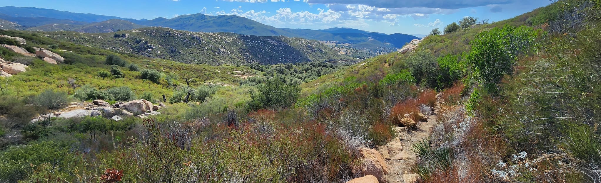 Sweetwater River Loop Trail : 833 photos - California | AllTrails