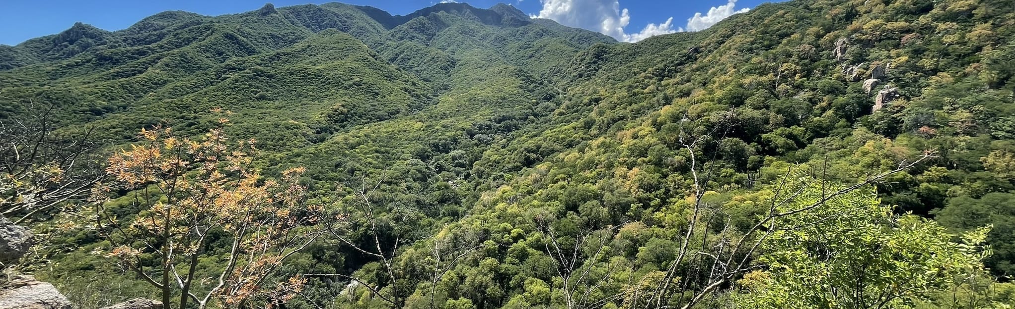 La Colorada Alamos Park Viewpoints, Sonora, Mexico - 5 Reviews, Map ...