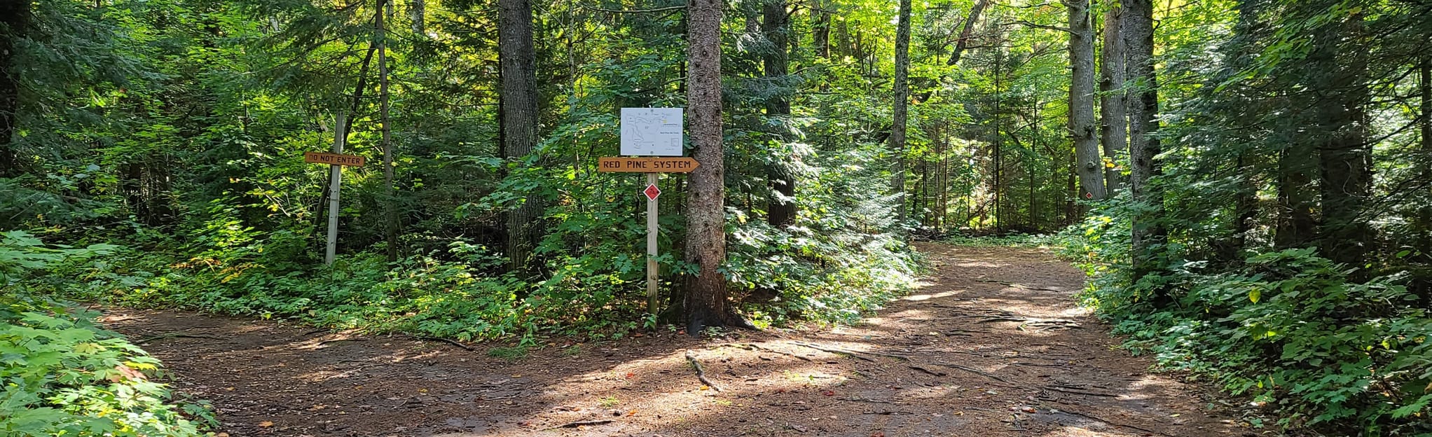 Magic Forest Loop: 46 Reviews, Map - Ontario, Canada | AllTrails