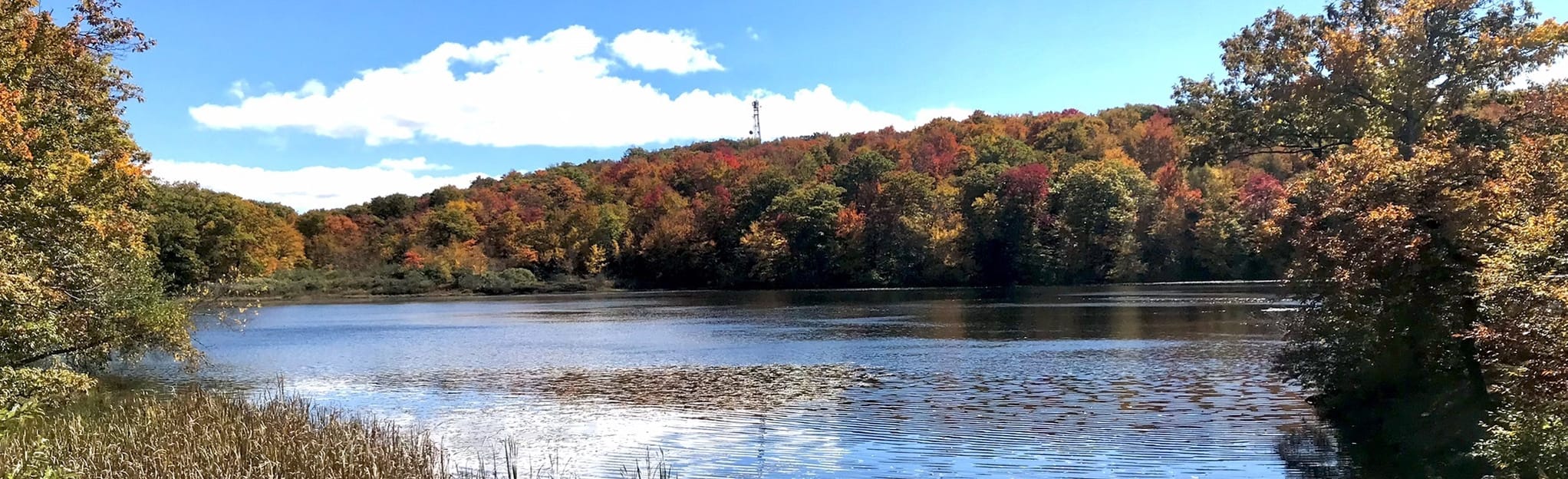 Taconic Crest Trail: South to North, Massachusetts - 51 Reviews, Map ...