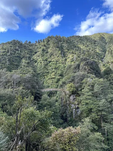 Best 10 Hikes and Trails in Ruahine Forest Park | AllTrails