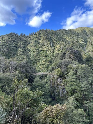 Best 10 Hikes and Trails in Ruahine Forest Park | AllTrails