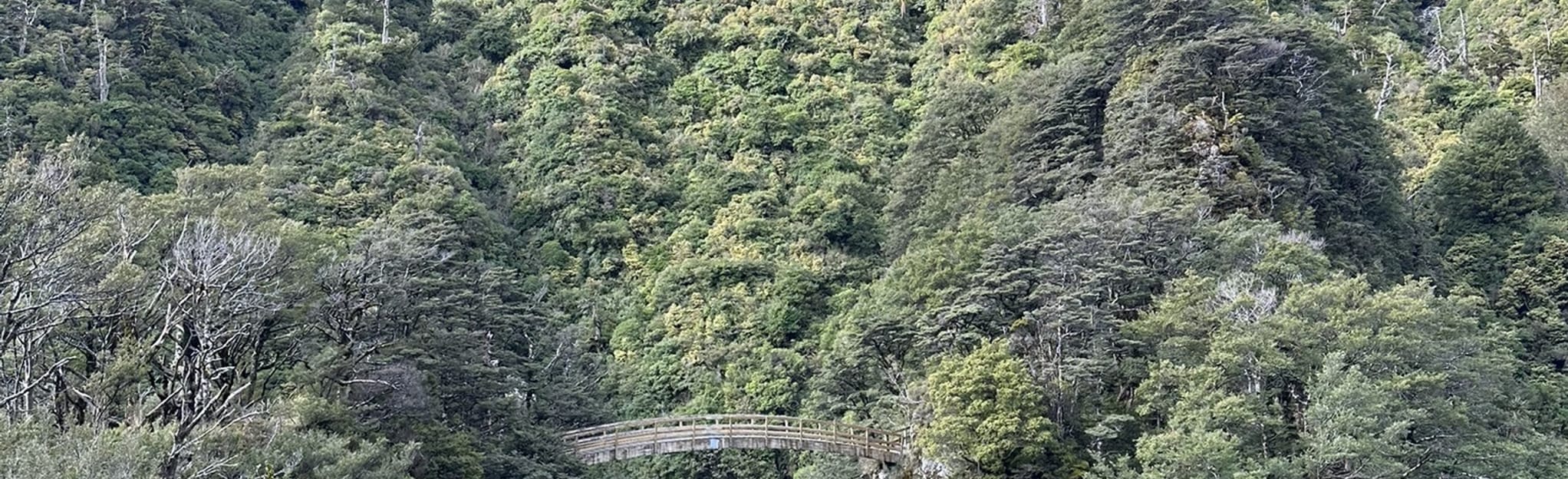 Rangiwahia Hut - Deadmans Track - Manawatu-Wanganui, New Zealand ...