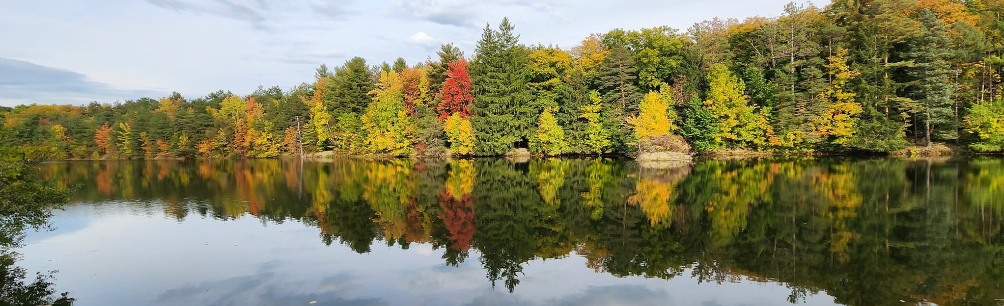 Chestnut Ridge Reservoir Trail, New York - 110 Reviews, Map | AllTrails