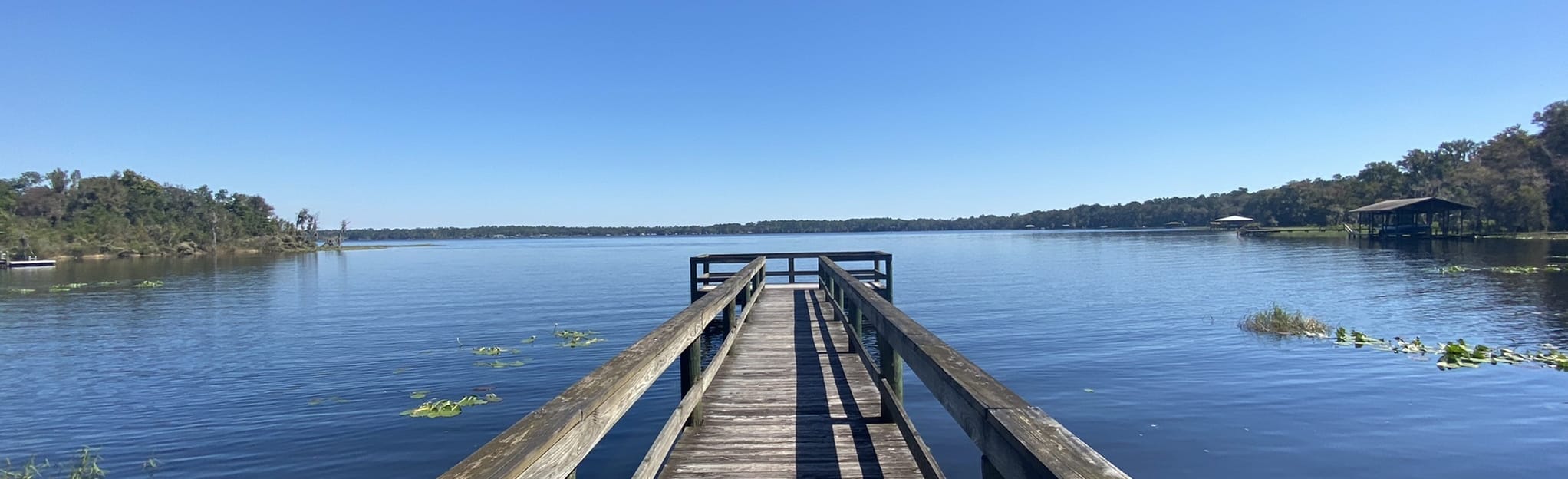 George’s Lake Trail - Florida | AllTrails