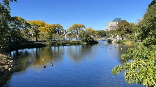 10 Best Forest Trails in Boston | AllTrails