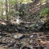 Stevens Glen Trail, Massachusetts - 357 Reviews, Map | AllTrails