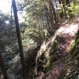 Stevens Glen Trail, Massachusetts - 357 Reviews, Map | AllTrails