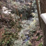 Stevens Glen Trail, Massachusetts - 357 Reviews, Map | AllTrails