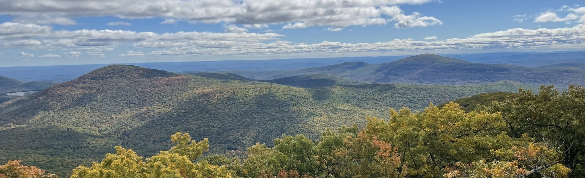 Tremper Fire Tower from Jessup Road: 161 Reviews, Map - New York ...