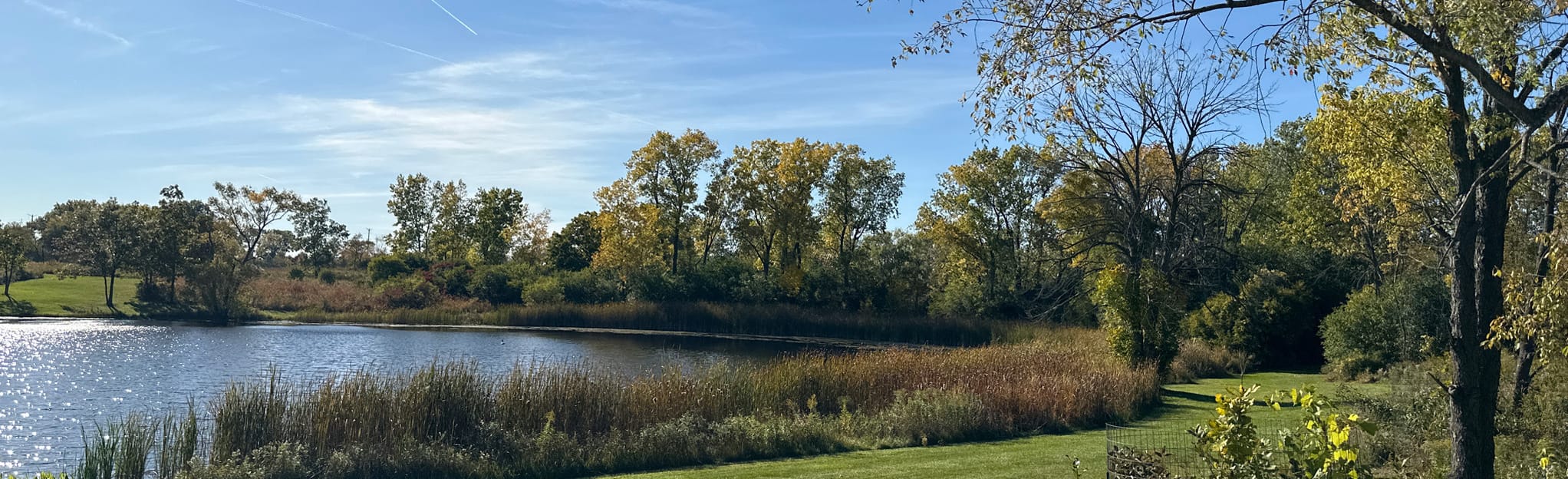 AllTrails | Greenbelt Forest Preserve Trail: 144 Reviews, Map - Illinois