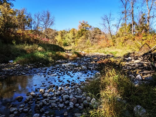 Best Hikes and Trails in Brushy Creek State Preserve | AllTrails
