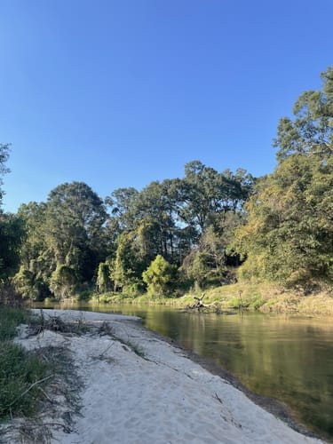 Best parks in Louisiana | AllTrails