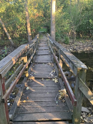 Best Hikes and Trails in Drayton Plains Nature Center | AllTrails