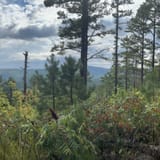 Horse Thief Spring and Ouachita Loop, Oklahoma - 188 Reviews, Map ...