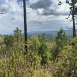 Horse Thief Spring and Ouachita Loop, Oklahoma - 188 Reviews, Map ...