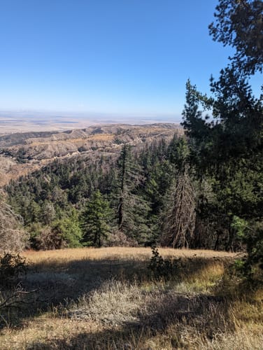 2023 Best 10 Trails and Hikes in Lake Hughes | AllTrails