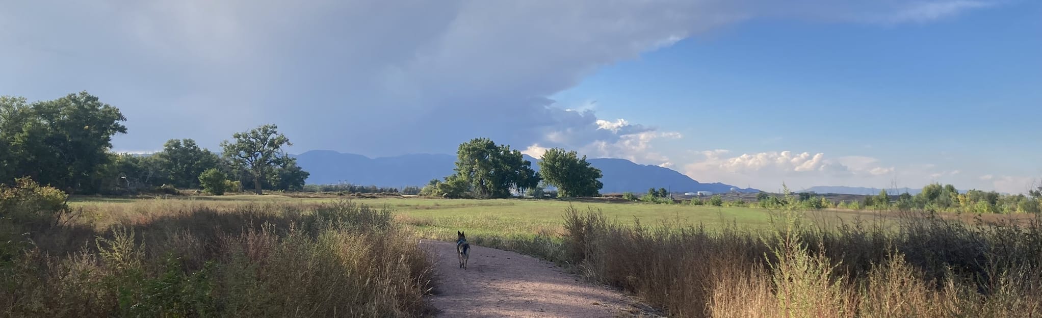 Clear Spring Ranch Trail, Colorado - 118 Reviews, Map | AllTrails