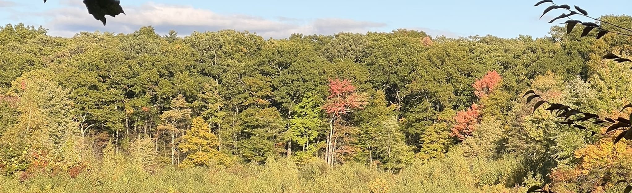 Appalachian Trail Loop via Canopus Lake: 59 Reviews, Map - New York ...