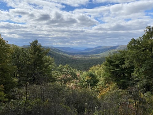 Best Hikes and Trails in Snyder-Middleswarth Natural Area | AllTrails